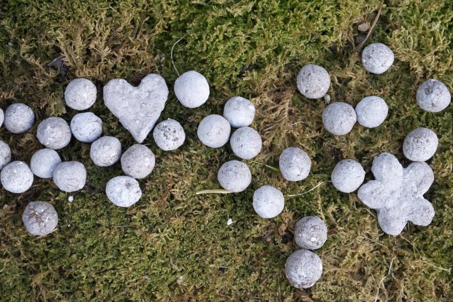 How To Make Seed Bombs - Garden Collage Magazine