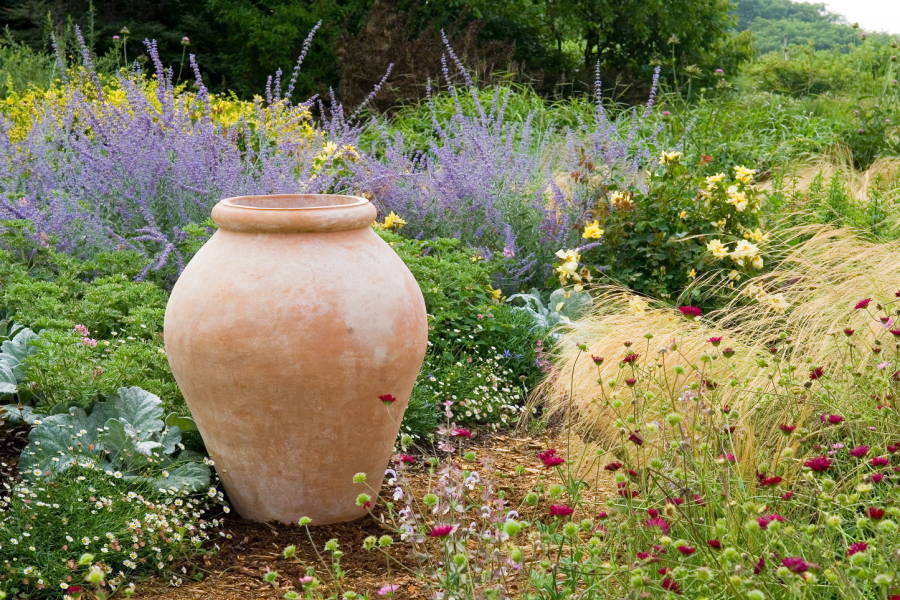 How To Care For Terra Cotta With Seibert & Rice's Lenore Rice - Garden ...