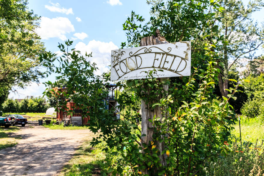 Soil Survivor: Talking with Noah Link, Founder of Detroit’s Food Field ...