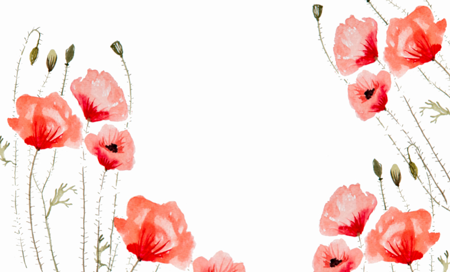 Poppies - Garden Collage Magazine