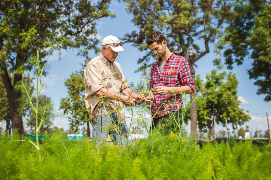 Erik Cutter Is The Soil Savior We’ve All Been Looking For - Garden ...