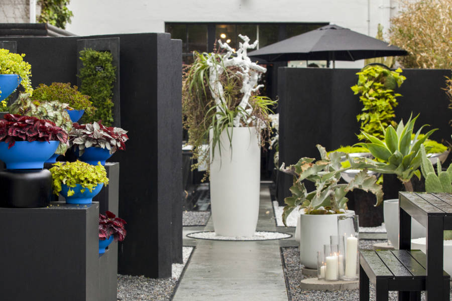 OVANDO Opens Gorgeous New Floral Shop in Southampton - Garden Collage ...