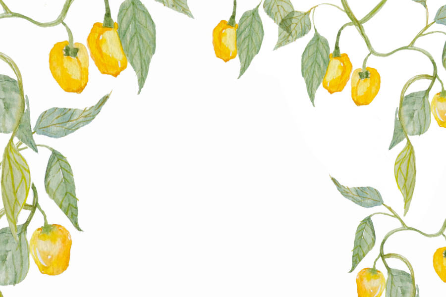 Bell Peppers - Garden Collage Magazine