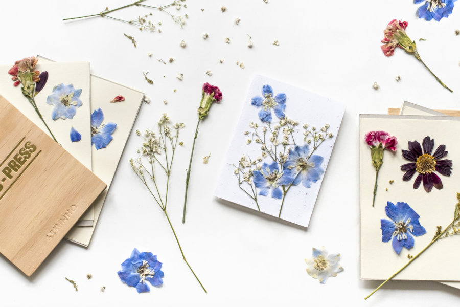 How To Make Holiday Cards with Pressed Flowers - Garden Collage Magazine