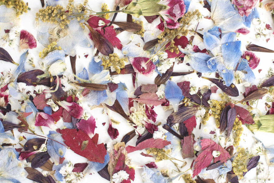 How to Make Your Own Floral Confetti - Garden Collage Magazine