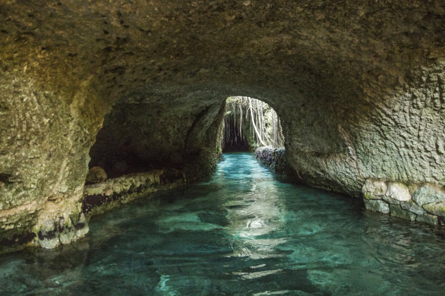 Visiting Quintana Roo? Xcaret Is Worth The Trip - Garden Collage Magazine