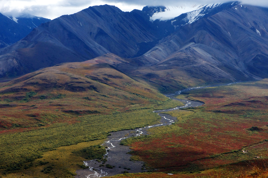 The 12 Best Environmental Nonprofits to Donate to This Holiday Season ...