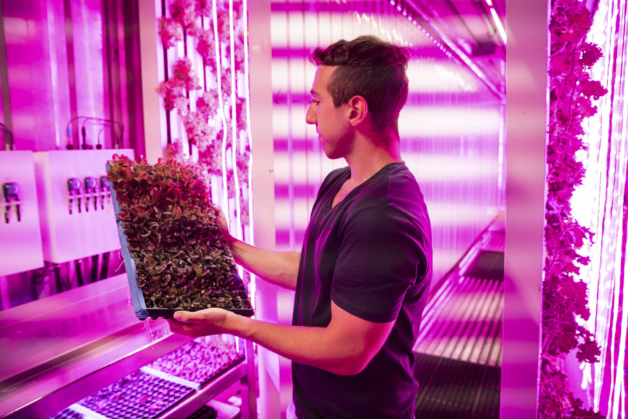 How Square Roots Is Farming For The Future - Garden Collage Magazine