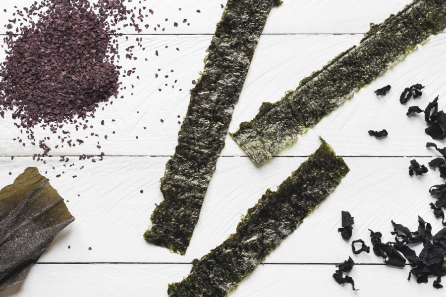 A Simple Guide To Eating Algae - Garden Collage Magazine